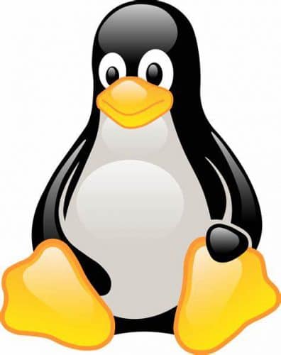 CMG 2024 软件安装指南（Linux系统） – Learn CMG