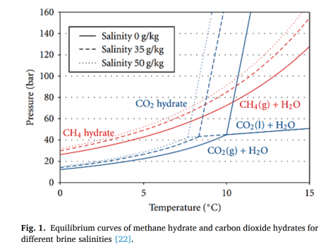 471. 基于机器学习开发用于枯竭气藏二氧化碳储存的水合物风险评估工具 – Learn CMG