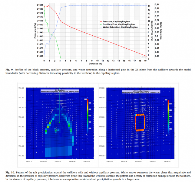 491. 丹麦海上枯竭油藏大规模CO₂储存中水平注入井周期性注入导致盐析的模拟分析 – Learn CMG