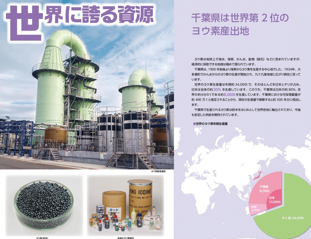 2025青岛用户大会材料（4）：日本天然气田制碘生产过程模拟 – Learn CMG
